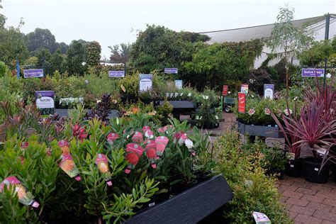 A Gardeners Heaven Van Loons Nursery Zinc Moon
