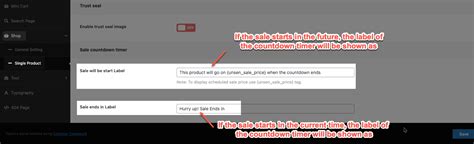 Product Page Sale Countdown Timer