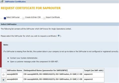 Snc Saprouter Step By Step Technical Guide 2025