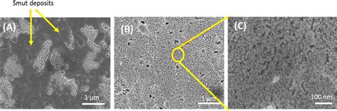 sem micrographs of an anodized 9 8 wt h2so4 aa2024 t3 specimen a