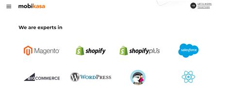 Top Best Magento Development Company In India