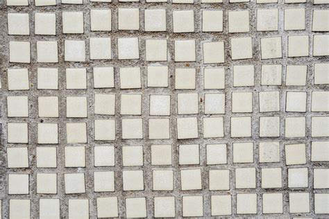 Chi Square Contingency Table Analysis A Step By Step Guide