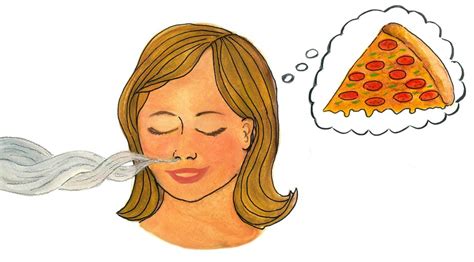How Do We Smell Things Queensland Brain Institute University Of Queensland