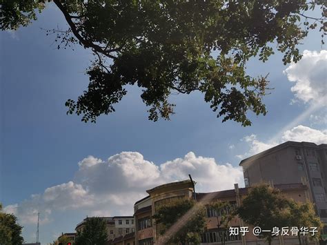 大城市追求梦想or小城市咸鱼躺平 知乎