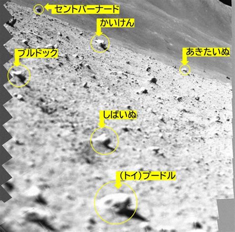 月面着陸した「slim」 捉えた画像 [写真特集2 5] 毎日新聞