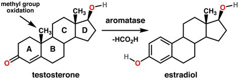 Diindolylmethane Dim For Testosterone Supplements In Review