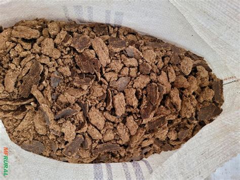 Torta De Cocô Babaçu Em Elesbão Veloso Pi à Venda Compre Direto 672121