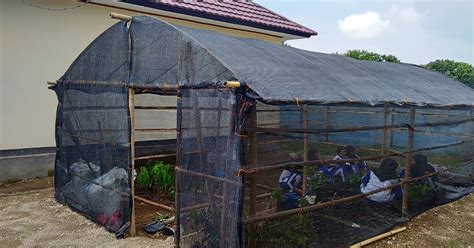 Mengulas 5 Manfaat Dan Fungsi Paranet Untuk Tanaman Jual Paranet Murah
