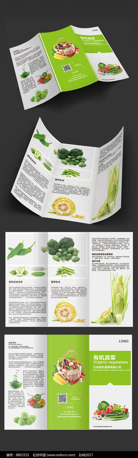 简约有机蔬菜三折页图片下载 红动中国