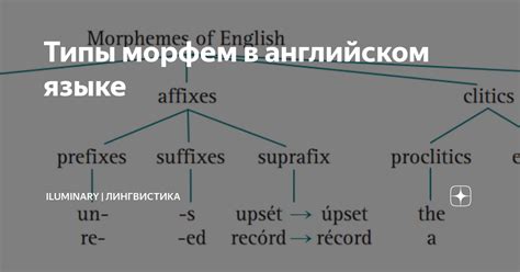Типы морфем в английском языке | iluminary | лингвистика | Дзен