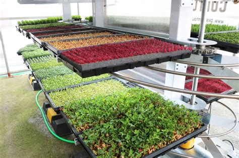 컨베이어벨트와 결합한 수직농장vertical Farm 혁신적인 물 양액 에너지 등 운영비용 절감형 스마트팜 네이버 블로그