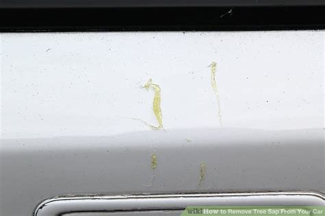 3 Ways To Remove Tree Sap From Your Car Wikihow