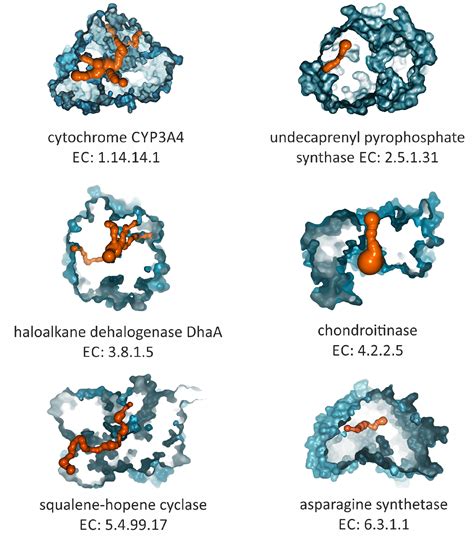 CAVER Software Tool For Protein Analysis And Visualization
