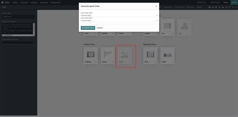 Gantt Charts Odoo 16 Studio Book