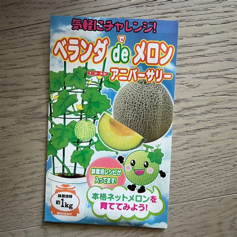 日本盆種型哈密瓜種子 傢俬＆家居 園藝 植物及種子 Carousell