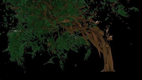 Houdini Tree Shatter Toolkit 3D Model 40 Unknown Free3D
