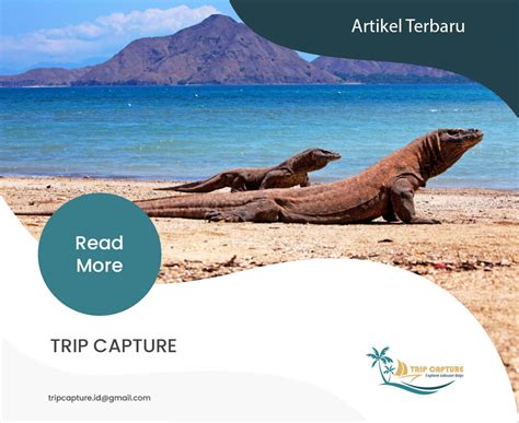 Tour Komodo Labuan Bajo Termurah 2024 Tripcaptureid