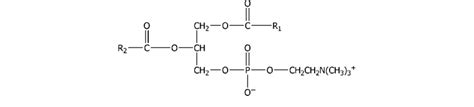 Phosphatidylcholine Structure Phosphatidylcholine Wikipedia