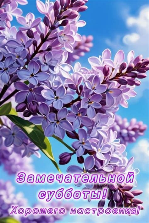 С добрым субботним утром Хороших вам выходных Природа Природа