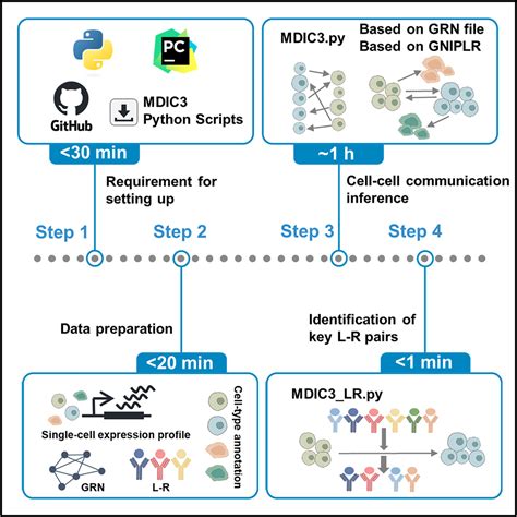 Cell Press Star Protocols