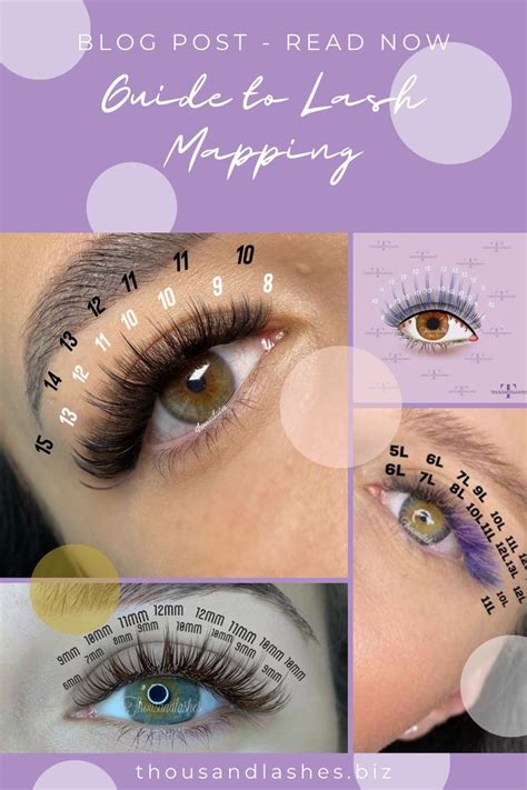 A Comprehensive Guide To Lash Mapping