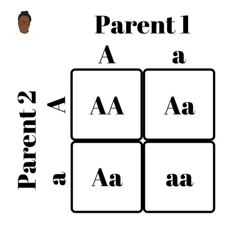 Sickle Cell Anemia Punnett Square
