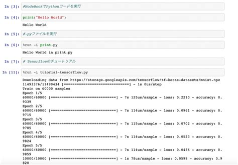Jupyter Notebook 事始め FreeStyleVision