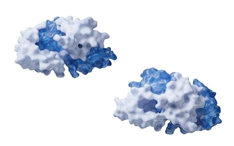 Premium Photo Protein Structure With Biological Concept 3d Rendering