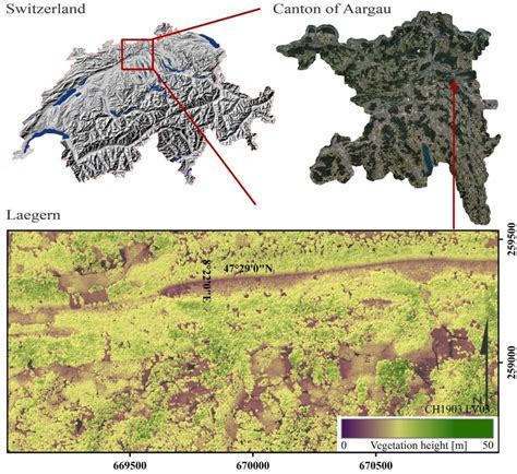 Figure 1 From Towards Automated Characterization Of Canopy Layering In