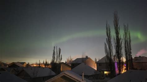 Terwillegar Towne Neighbors