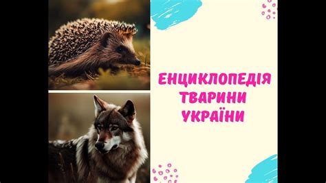 Тварини України Дитяча енциклопедія Тварини України Youtube