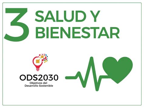 Consumo Sostenible 2025 Hábitos Para Empezar Hoy