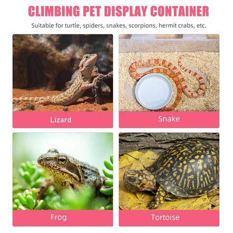 1pc Reptile Feeding Box Practical Snake Hatching C Grandado