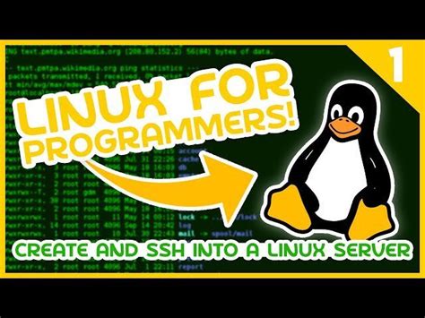 Free Video Linux For Programmers From Tech With Tim Class Central
