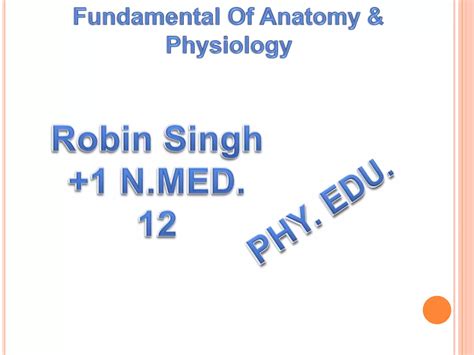 Ppt On Fundamentals Of Anatomy Physiology Class 11 PPT