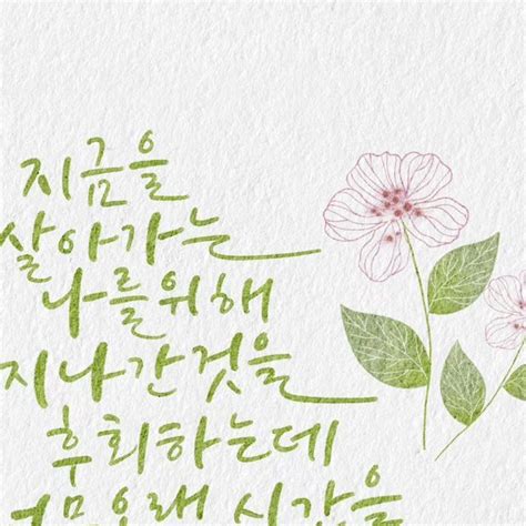 스마일제이인천캘리그라피 On Instagram 🌿 우리는 모두 찰나를 살고 있다 누구도 과거의 나로 멈춰 있을 수 없고