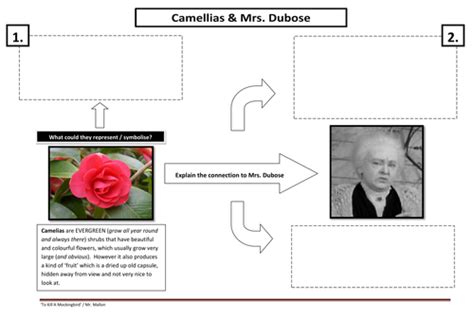 To Kill A Mockingbird Scheme Of Work Teaching Resources