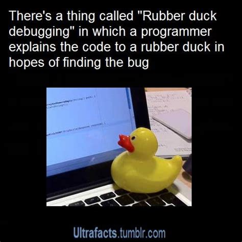 Actually helps a lot in | Programmer humor, Rubber duck, Rubber duck debugging