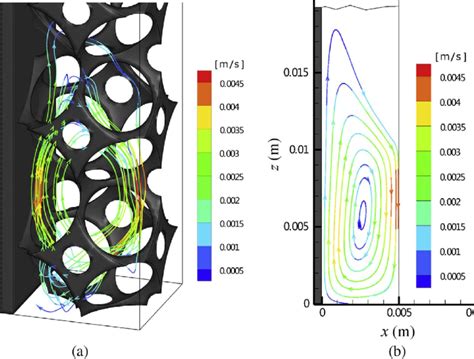 instantaneous liquid streamlines predicted by a 3 d pore scale