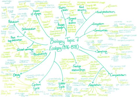 Ecology Diagram Quizlet