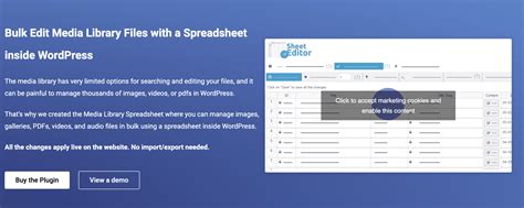 find all images without alt tags in wordpress a quick guide