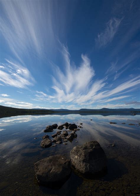 Malte Johansson Naturfotograf Part Fotografering Och Fotokonst