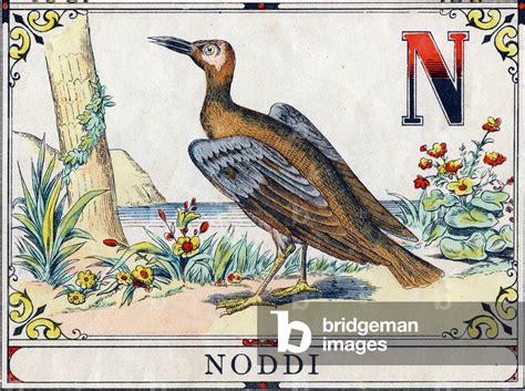 Image Of Letter N Noddi Engraving In Great Bird Alphabet”
