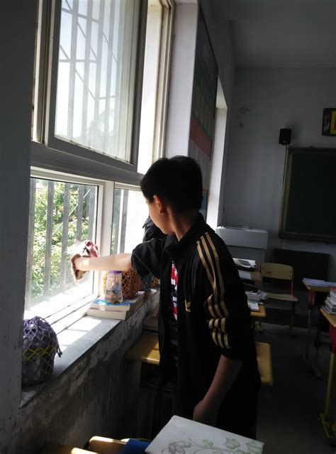 西部故事