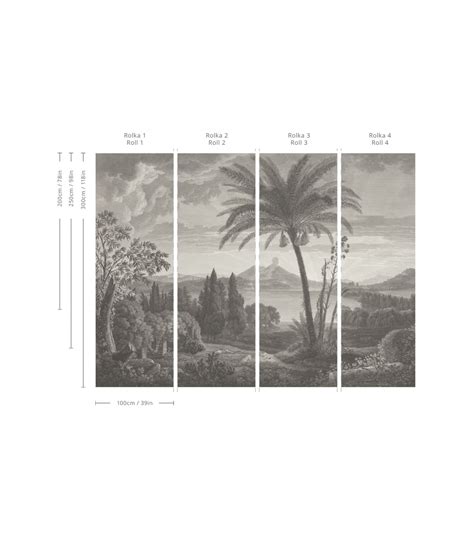 Tropical Volcano Vista Wallpaper Exclusive Wallpapers → Wallcolor