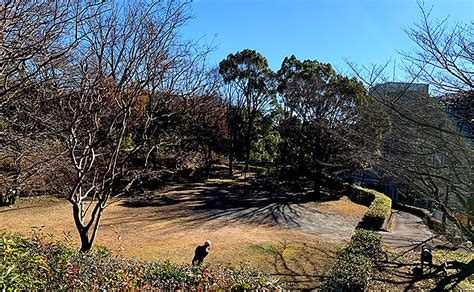 下小山田滝谷公園 町田市公園探訪