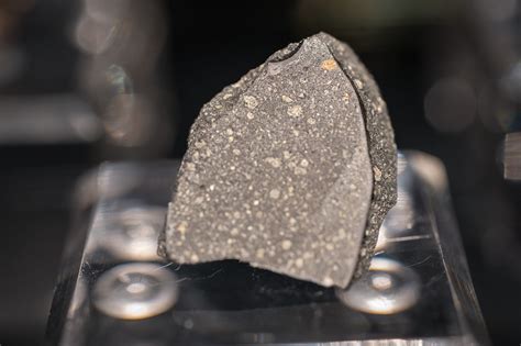 Murchison Meteorite Museum Of Nature And Humankind University Of Padua