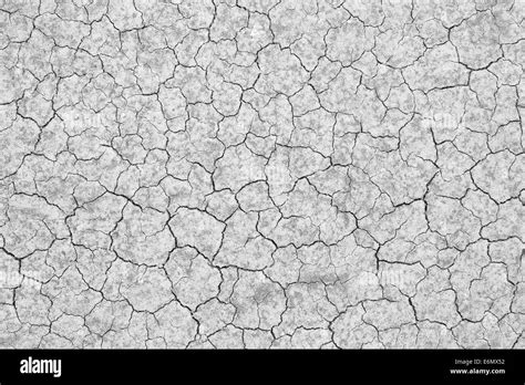 Dry Cracked Soil Texture And Background On Dry Season Grayscale Stock Photo Alamy