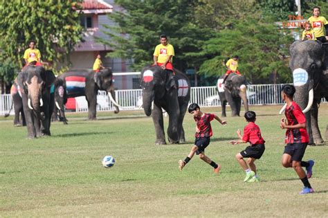 รูปภาพประกอบข่าว อยุธยาจัด“ช้างเตะบอลกับคน” ร่วมรณรงค์เชียร์บอลโลกไม่เล่นการพนัน รูปที่ 22 จาก 26