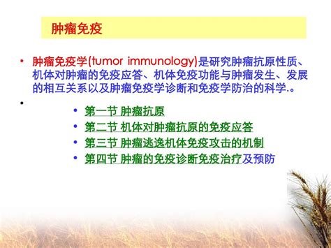 肿瘤免疫ppt课件 文档之家
